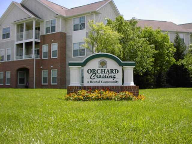 About Us – Orchard Development
